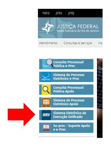 Jfrj Consulta